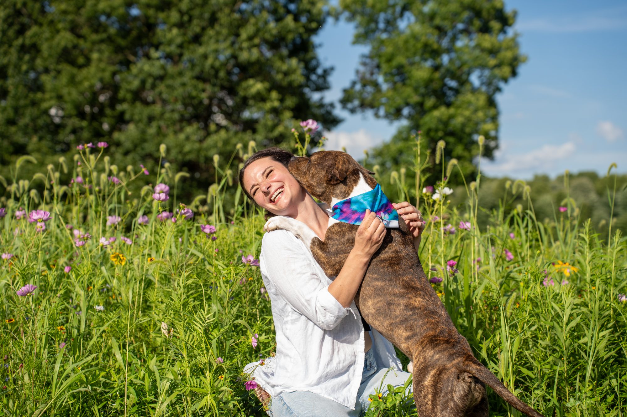 Pets – Rat Dog Media